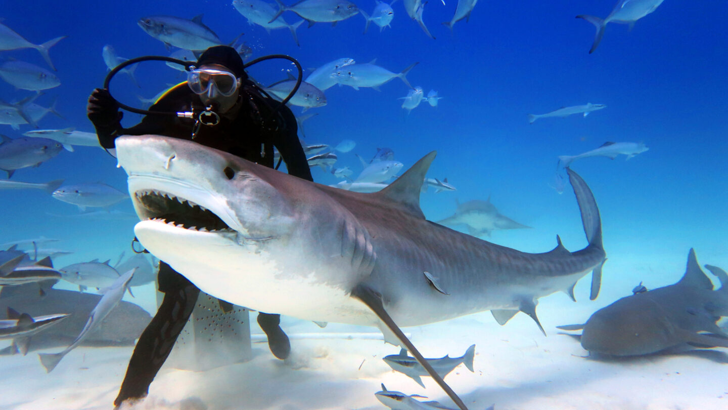 Dubai's Best Adrenaline-Pumping Activities to Try Now In 2026