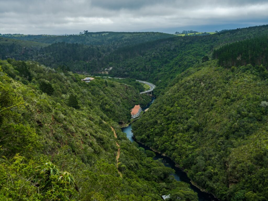 Explore South Africa's Garden Route: Attractions, Activities & More