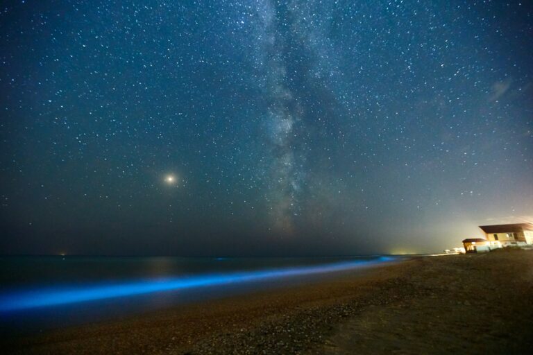 Explore 7 Must-See Bioluminescent Beaches in the World in 2026