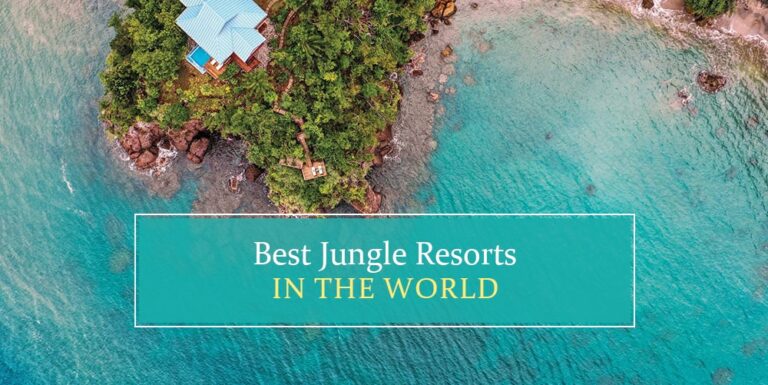 14 Best Jungle Resorts In The World For An Unforgettable Holiday