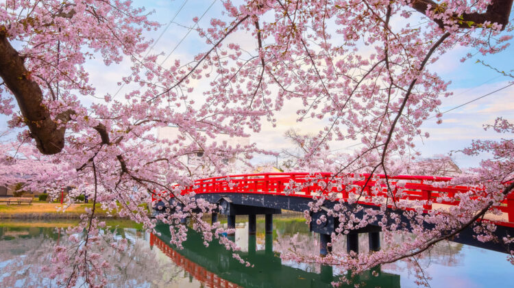 Japan in April: The Ultimate Guide to Planning Your Trip