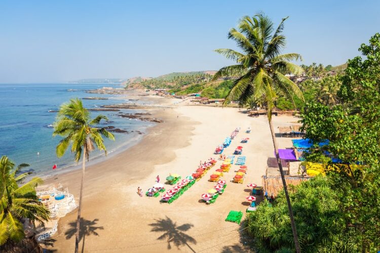 This is The Best Time to Visit Goa In 2026