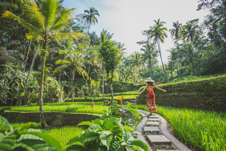 Bali In April 2026: Weather, Crowds, Things To Do and More