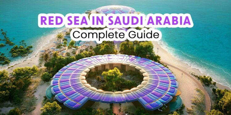 The Red Sea: A Complete Travel Guide for Your Next Adventure