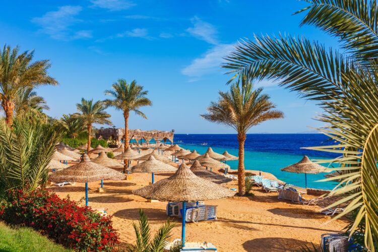 This Is The Best Time To Visit Egypt In 2026