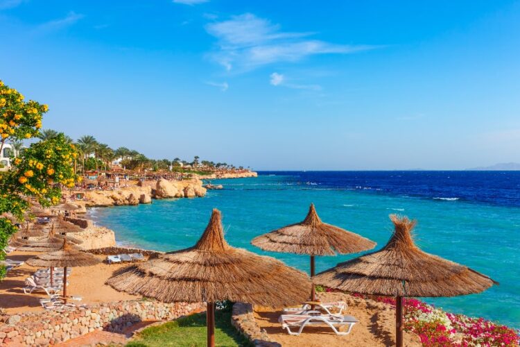 Egypt in December: What You Need to Know for a Perfect Holiday