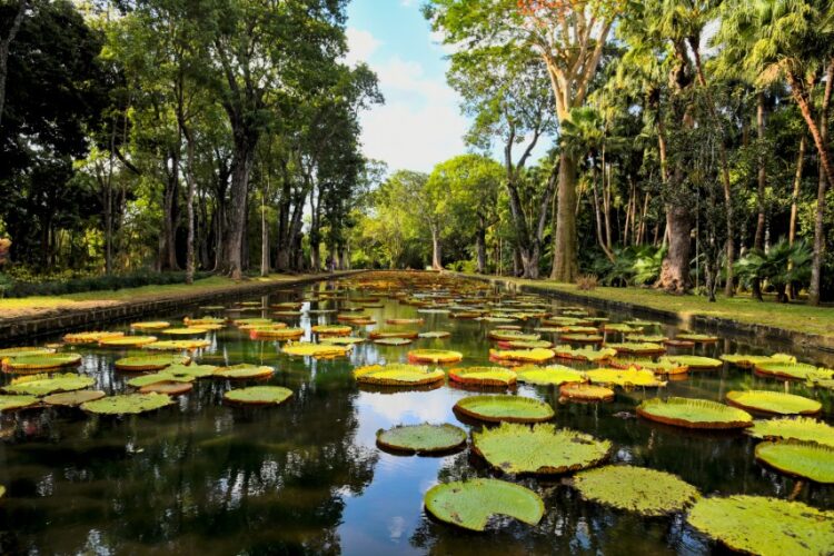A Comprehensive Guide For Exploring Mauritius In February 2027